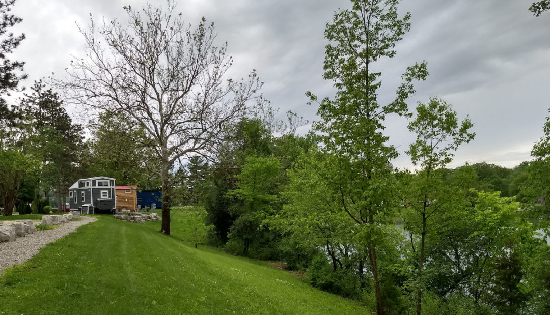 Virtual Tour - View Site Images! » Cedar Springs Tiny Village